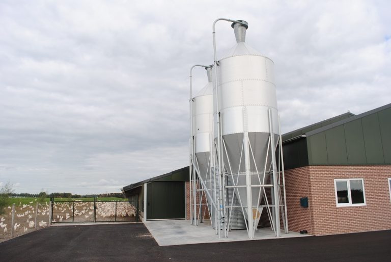 Varkensvoer op een Vlaams varkensbedrijf | laatste varkens nieuws